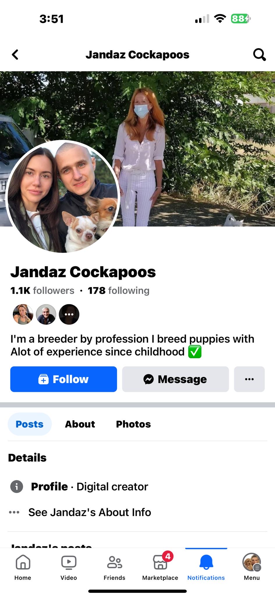 Cockapoo Puppies Available | Jandaz Cockapoos